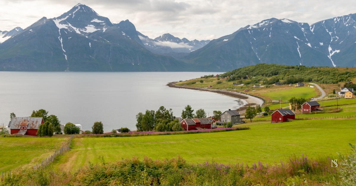 Why February to April is the Best Season in Northern Norway - The ...